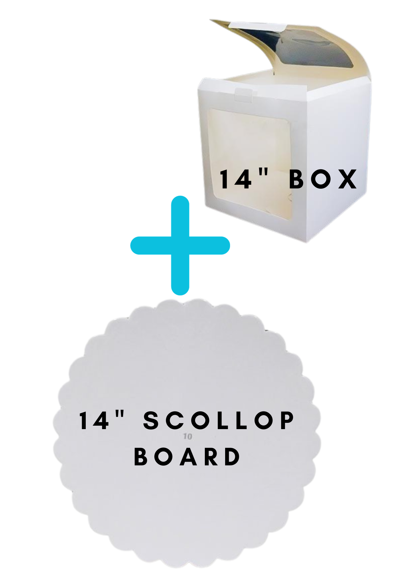 14" Premier Box + 14" Scallop Board combo – Cakebox.ME